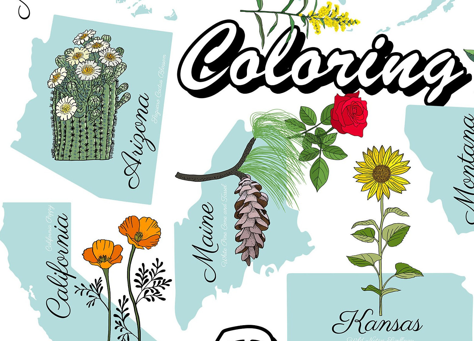 State Flower Coloring Pages Digital Download. Adult, Teen Child ...