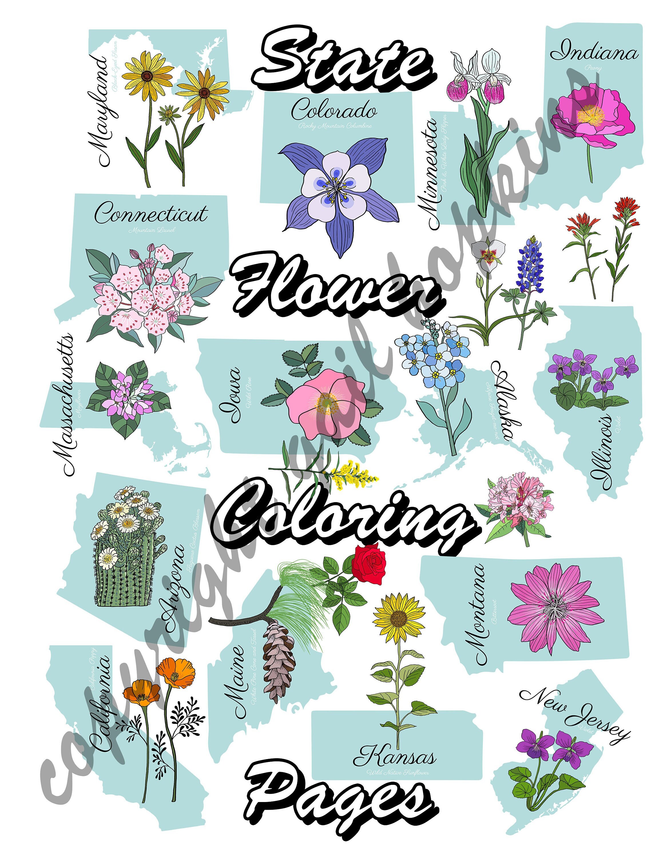State Flower Coloring Pages Digital Download. Adult, Teen Child ...