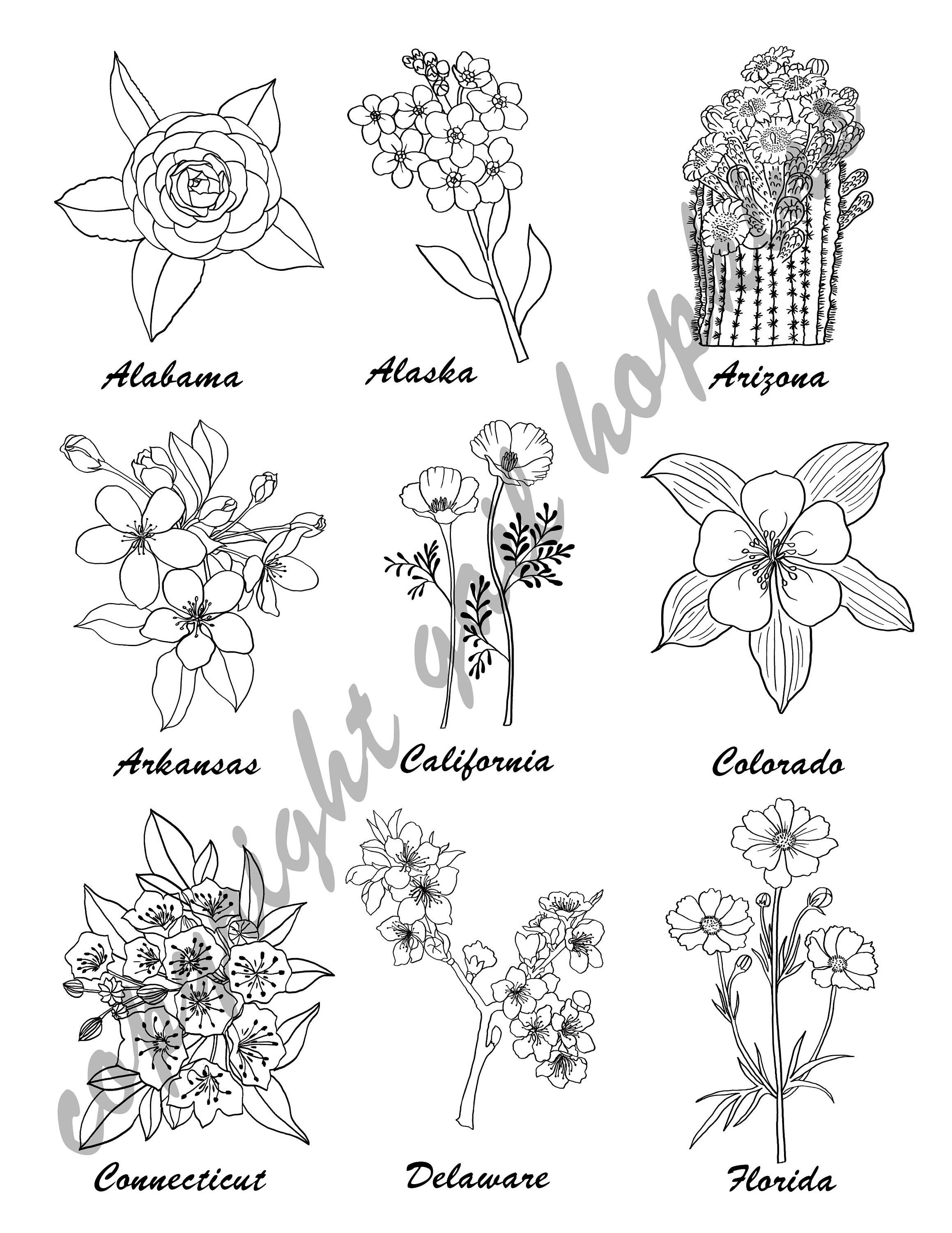 State Flower Coloring Pages Digital Download. Adult, Teen Child ...