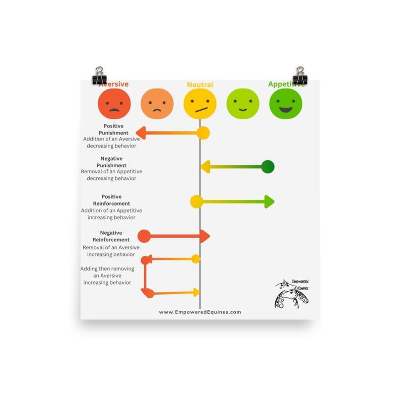 Quadrant Chart Poster - Etsy