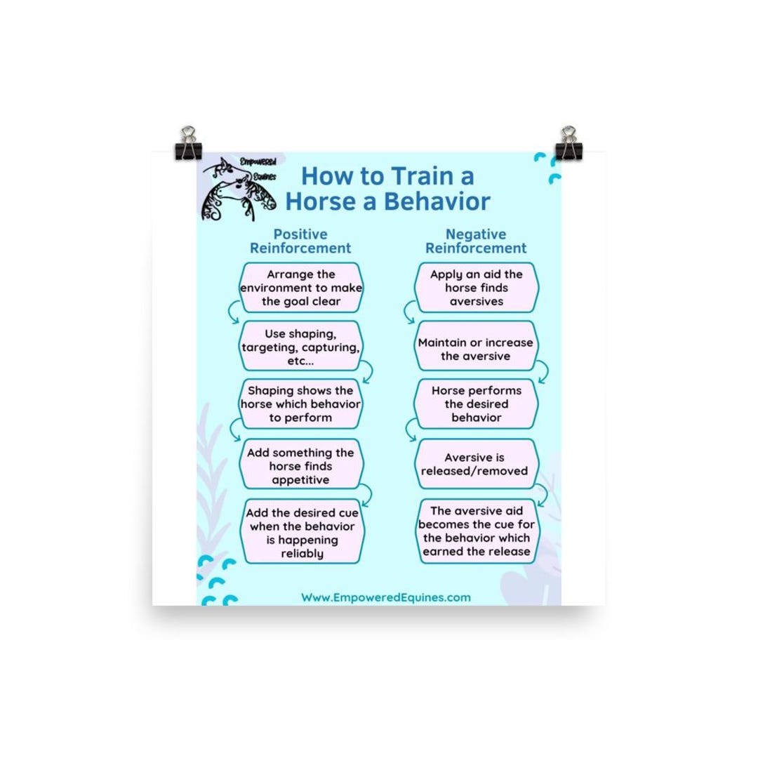 Training Steps Poster - Etsy