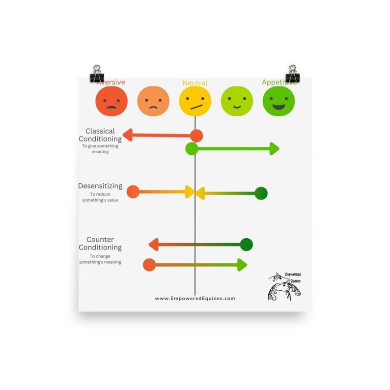 Conditioning Chart Poster - Etsy