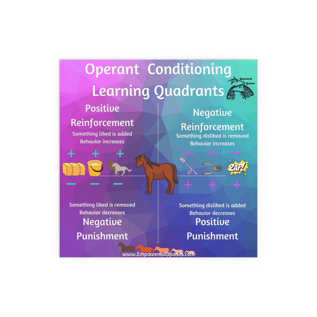 Learning Quadrants Posters - Etsy