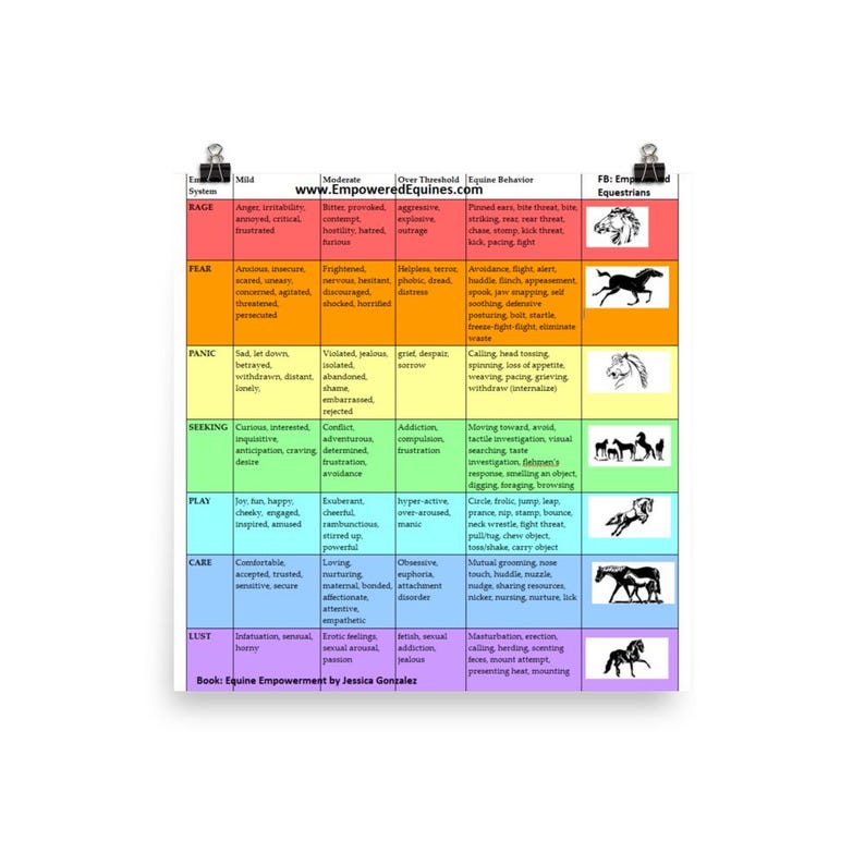 Panksepp Emotions Poster - Etsy