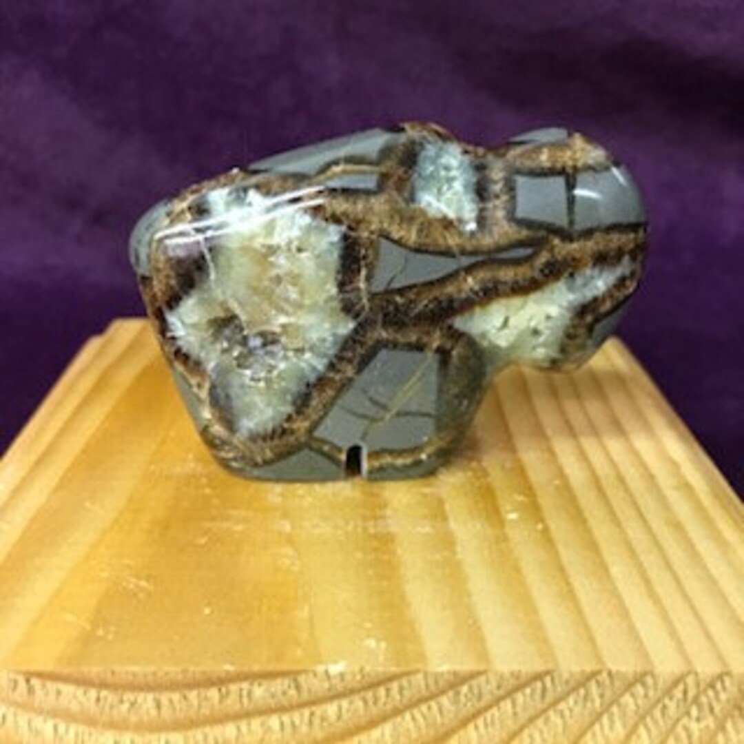 Septarian Nodule Stone Bison/buffalo micro - Etsy