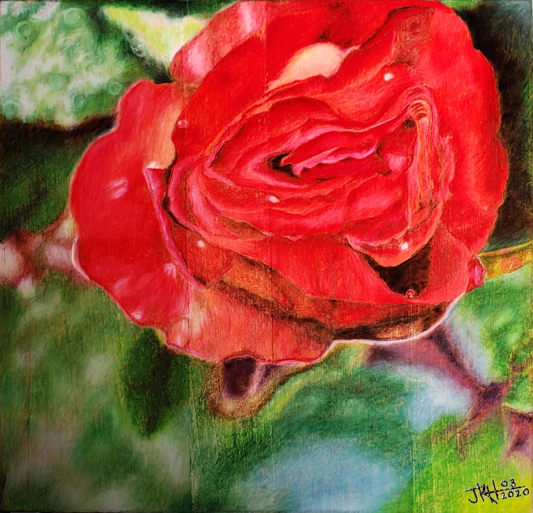 Woodburning, Home Decor, Wall Art, Floral, "multifoliate Rose" - Etsy UK