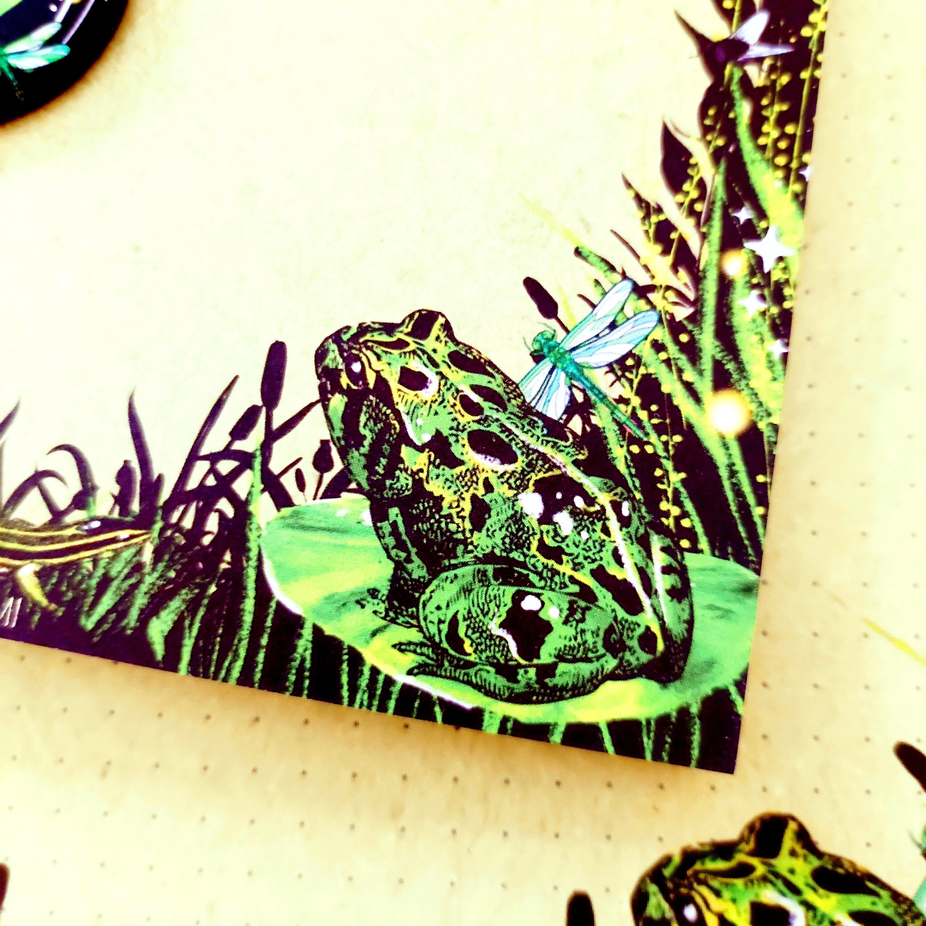 FREAKY FROGGY WRITING SET 10 Sheets of A4 Letter Paper 2 - Etsy