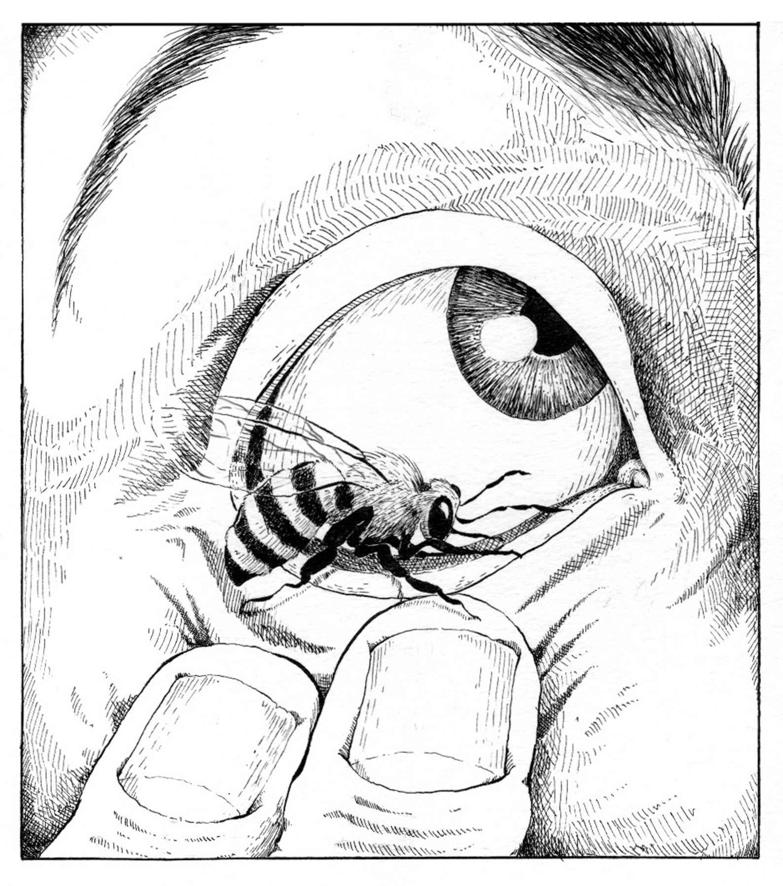 The Body POSTCARD - Etsy