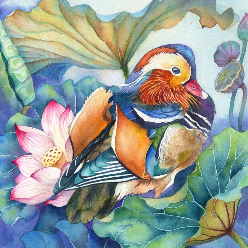 Mandarin Duck Art - Etsy