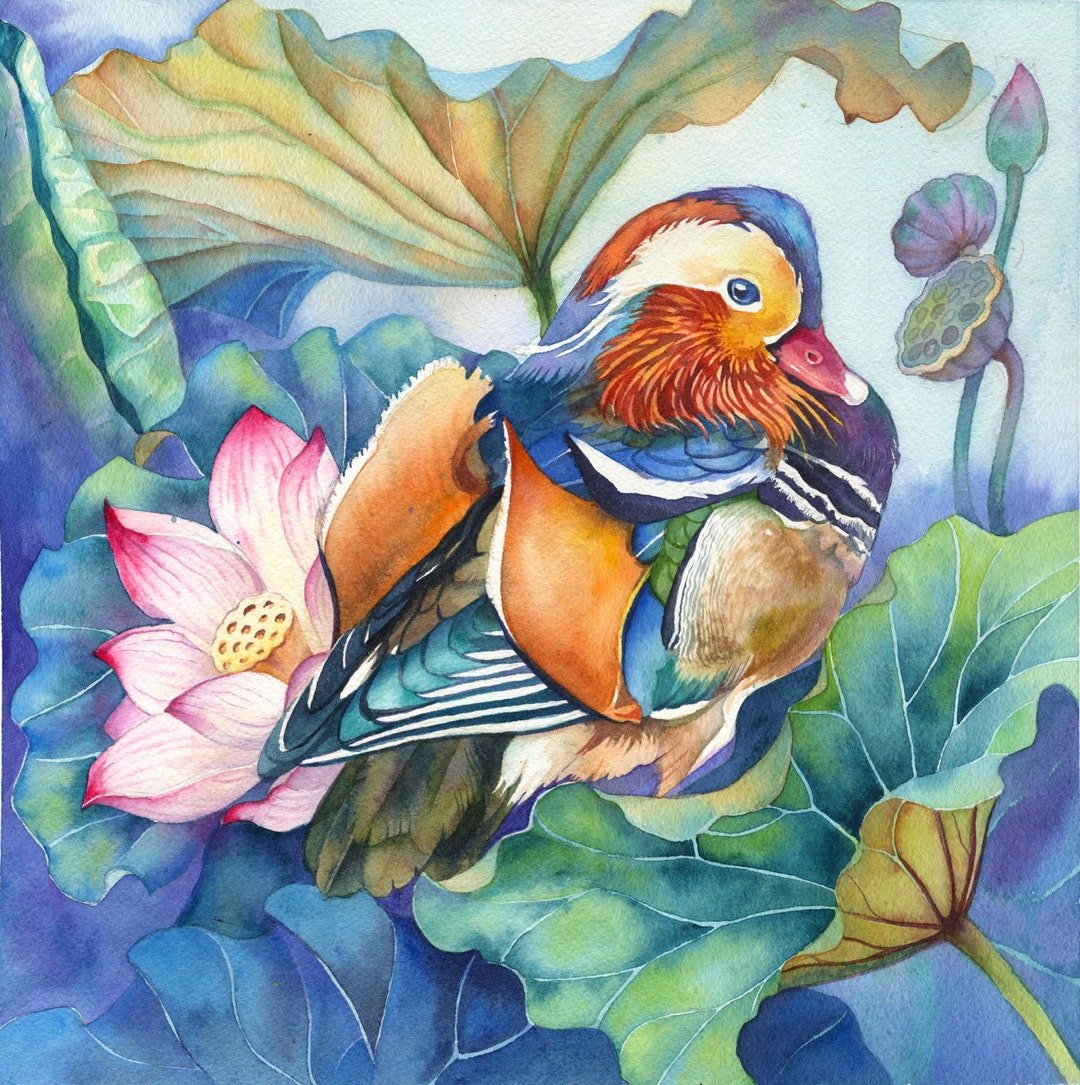 Mandarin Duck & Lotus Flowers - Original Watercolor - Etsy