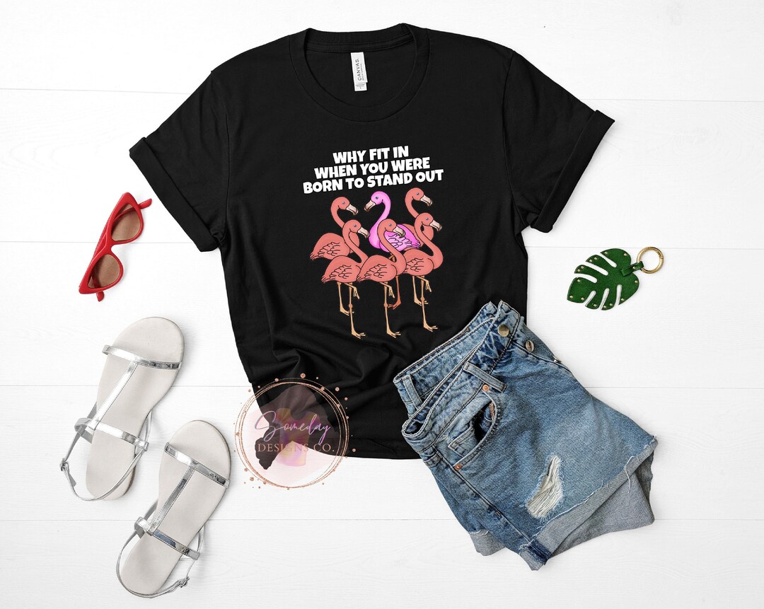 Why Fit in When You Were Born to Stand Out, Flamingo Lover, Flamingo ...