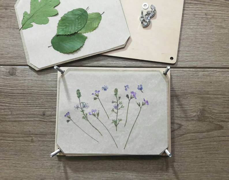 Flower Plants Press Kit, Flower Press Mini, Personalized Nature Lovers ...