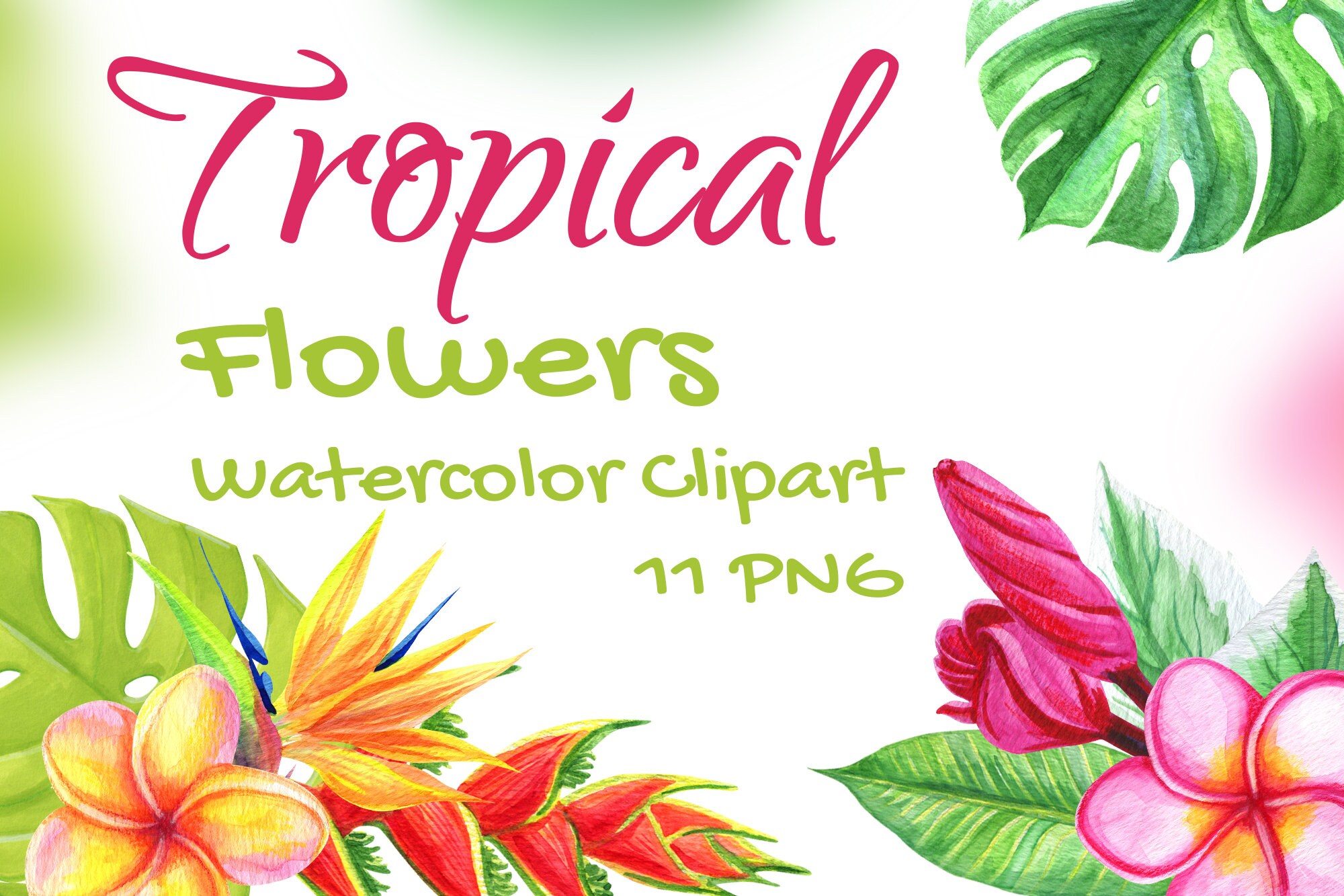 Watercolour Tropical Flowers Clipart Jungle Summer Wedding Tropics ...