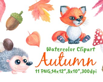 Forest Hedgehog Clip Art PNG JPEG and PDF - Etsy