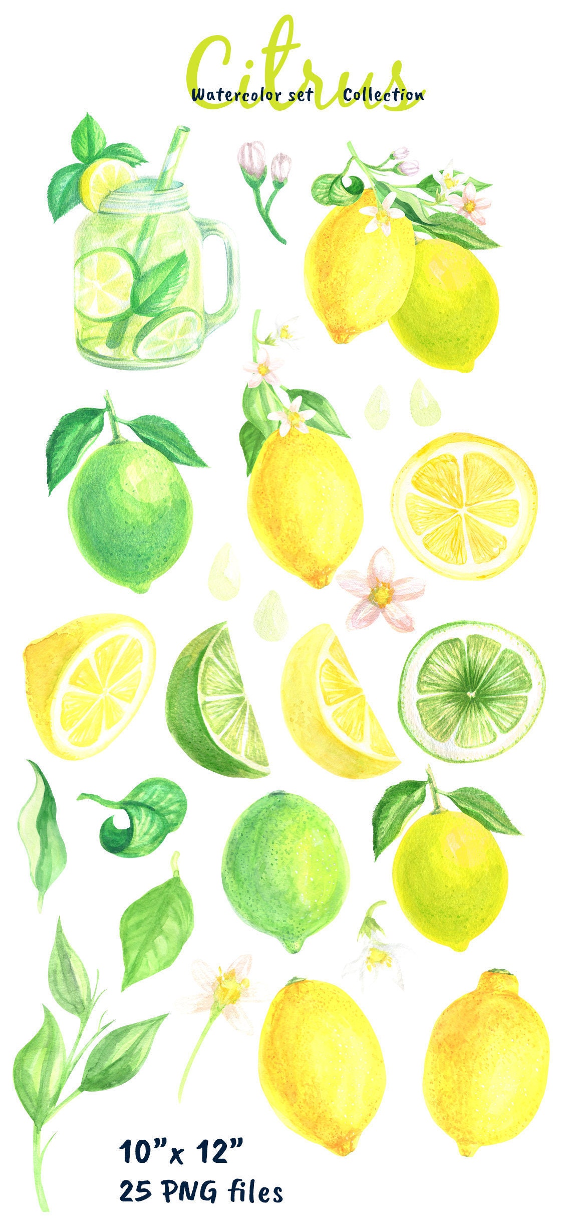 Watercolor Lemons Tree Clipart Citrus Graphics Flowers PNG | Etsy
