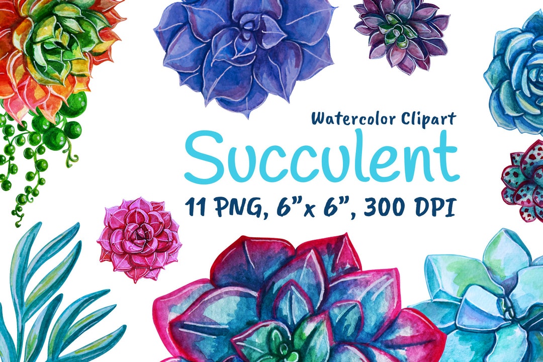 Succulents Watercolor Rose Pink Plants Boho Wedding Botanical Clipart ...