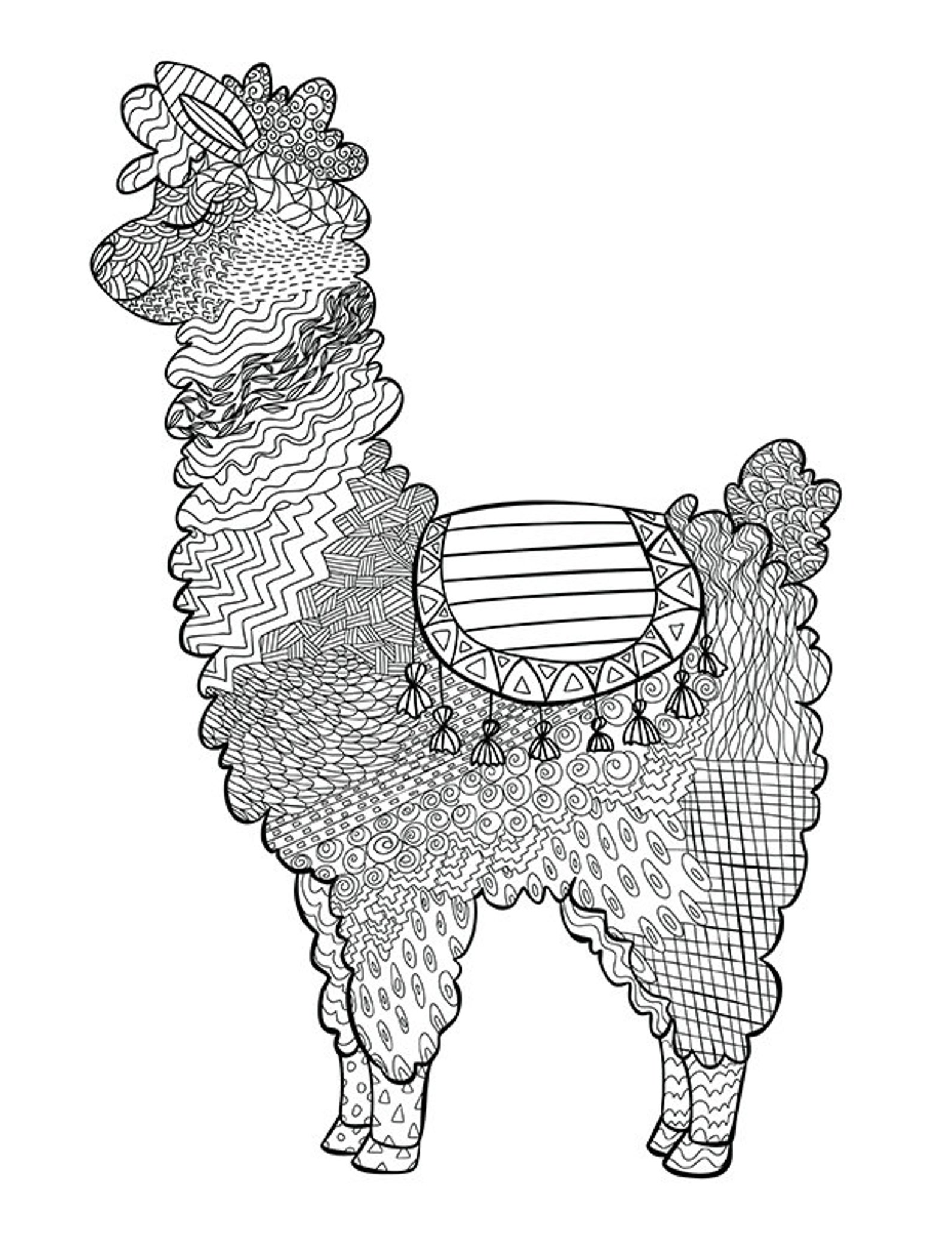 Llama Alpaca Coloring Page for Kids & Adult Pdf Animal Print - Etsy