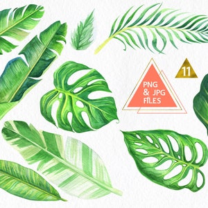 Watercolor Tropical Leaves Clipart Palm Leaf Print Leaf Banana Leaf ...