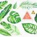 Watercolor Tropical Leaves Clipart Palm Leaf Print Leaf Banana Leaf ...