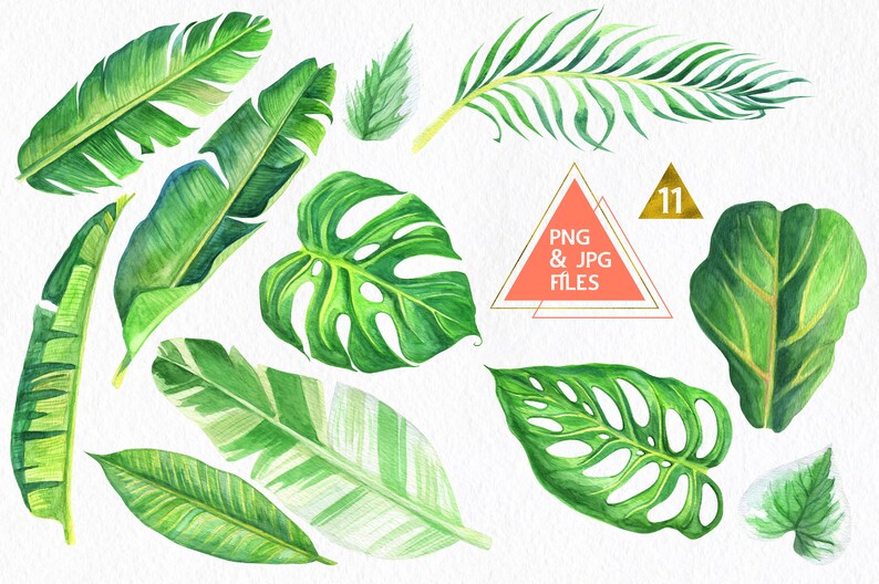 Watercolor Tropical Leaves Clipart Palm Leaf Print Leaf Banana Leaf ...