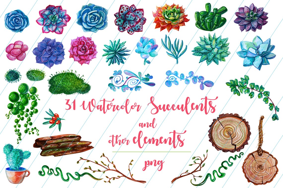 Succulent Watercolor Plant Clipart Cactus Clipart Handpainted | Etsy