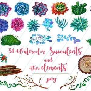 Succulent Watercolor Plant Clipart Cactus Clipart Handpainted Flowers ...