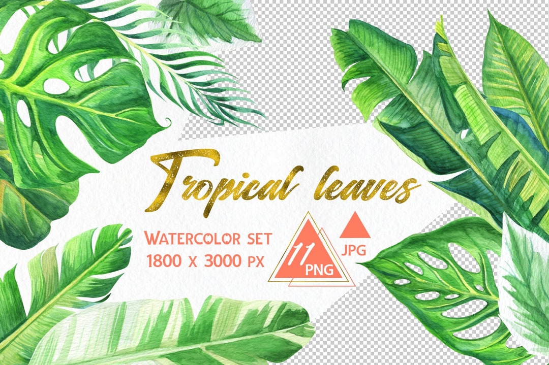 Watercolor Tropical Leaves Clipart Palm Leaf Print Leaf Banana Leaf ...