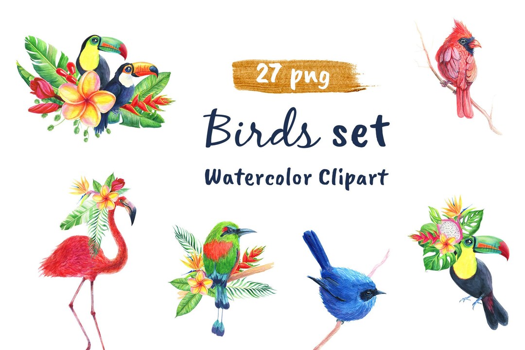 Birds Tropical Watercolor Bird Colorful Flamingo Party Hawaii Clip Art ...