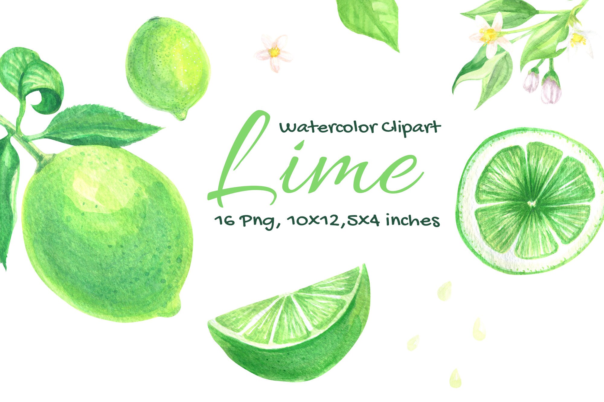 Watercolor Lime Green Citrus Clipart. Summer Food Lemon Invitation ...