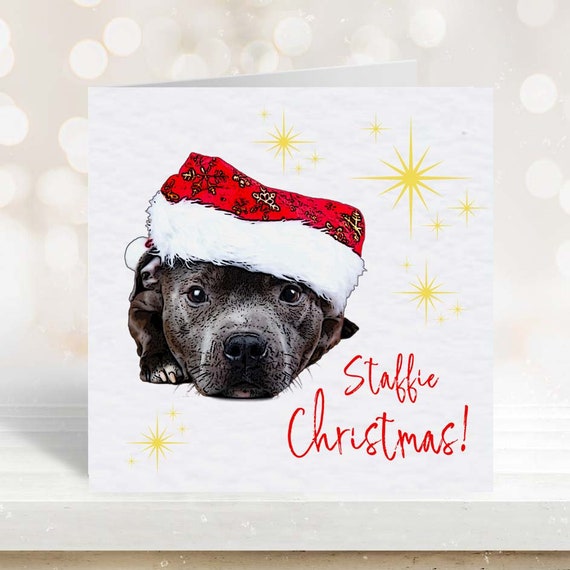 Staffy Christmas Card Staffordshire Bull Terrier Xmas Card - Etsy UK