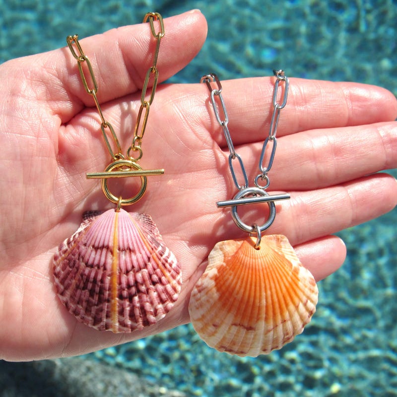 Scallop Shell Necklace - Etsy