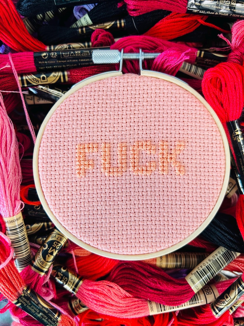Hidden Swear Word Cross Stitch - Etsy