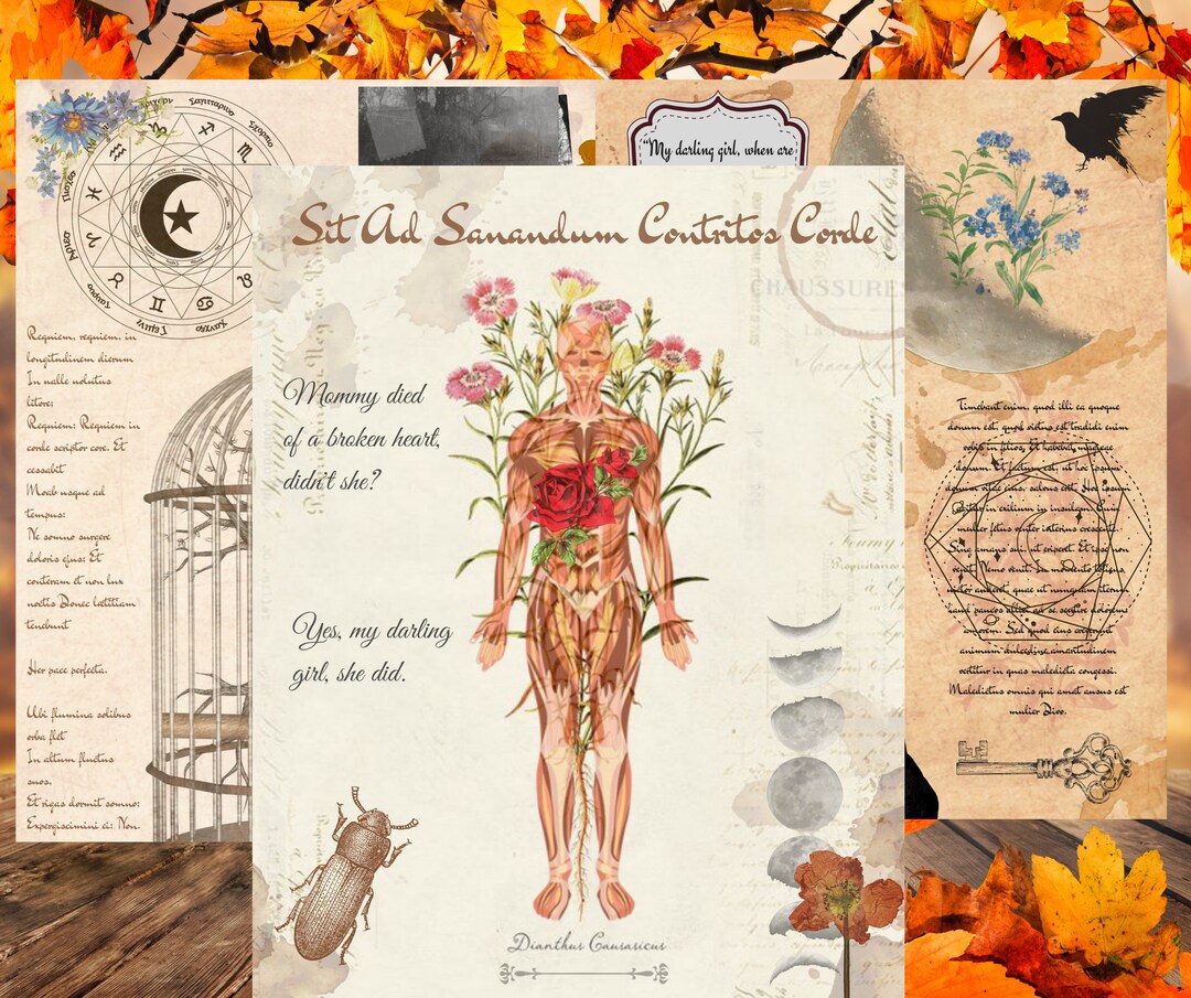 Practical Magic Spell Collection (VALUE PACK - Get 5 Spells for the ...