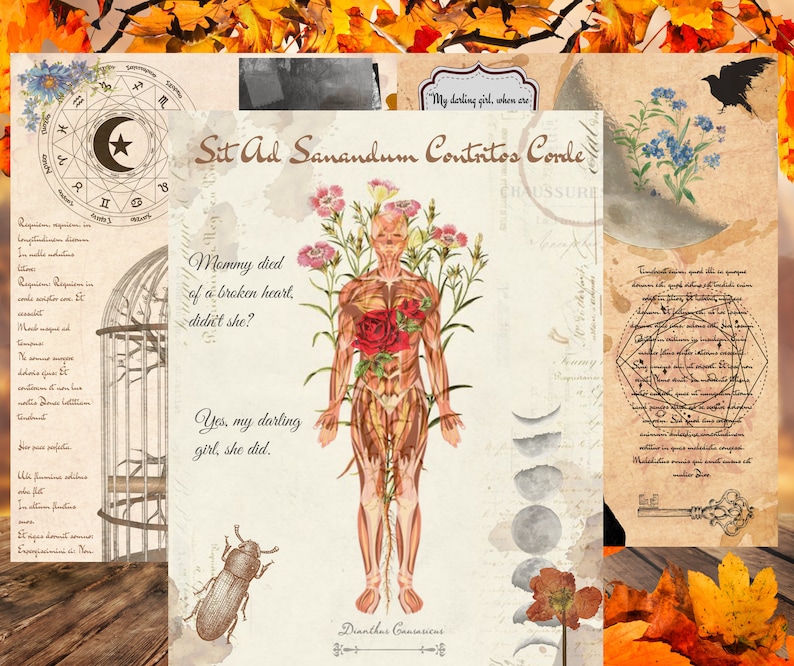 Practical Magic Spell Collection (VALUE PACK - Get 5 Spells for the ...