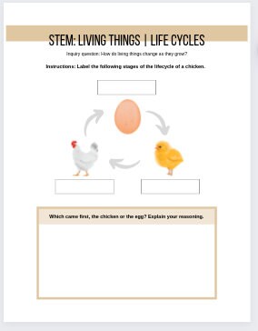 STEM Stages of Life Cycles - Etsy