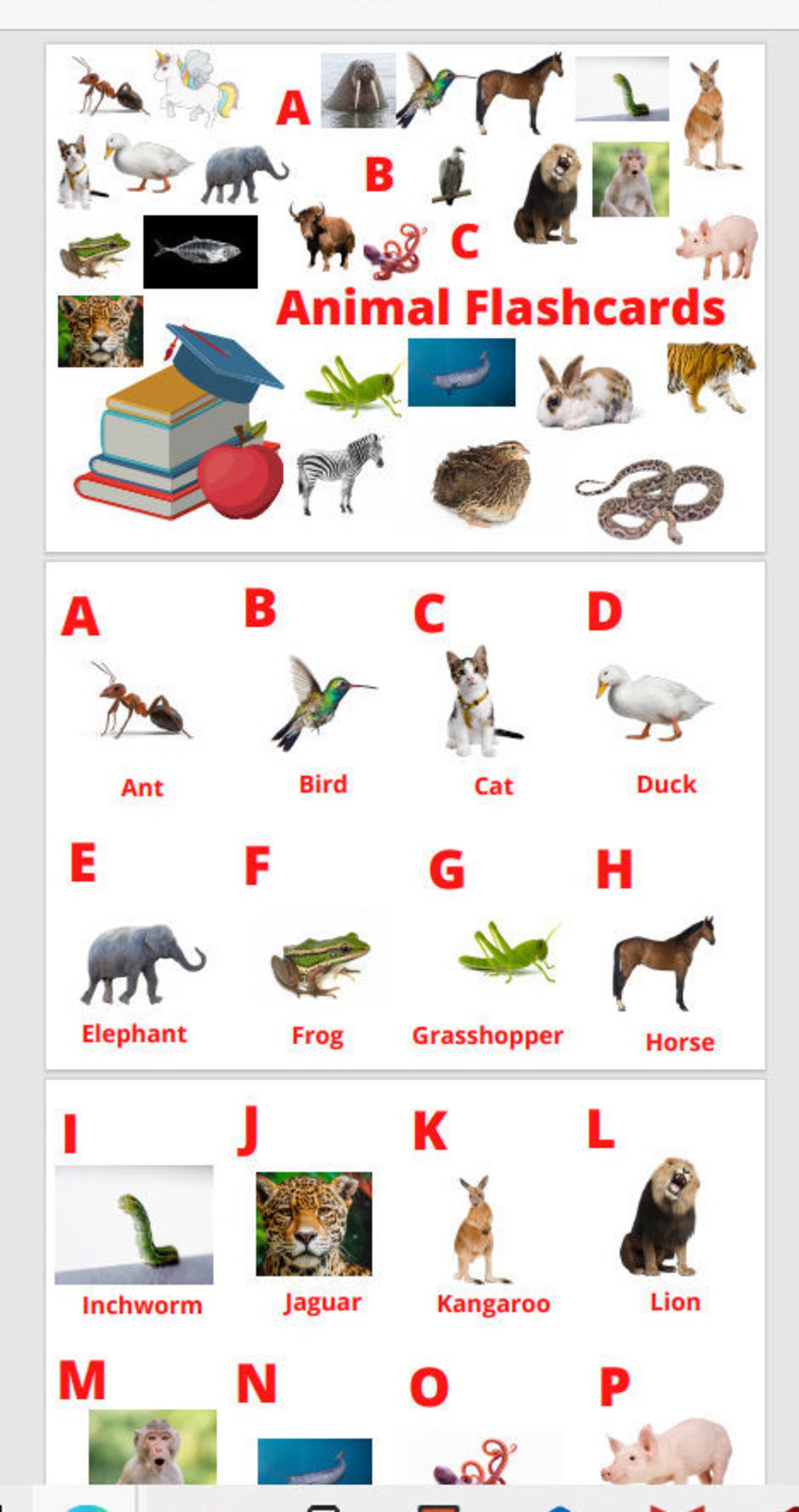 ABC Animal Flashcards - Etsy