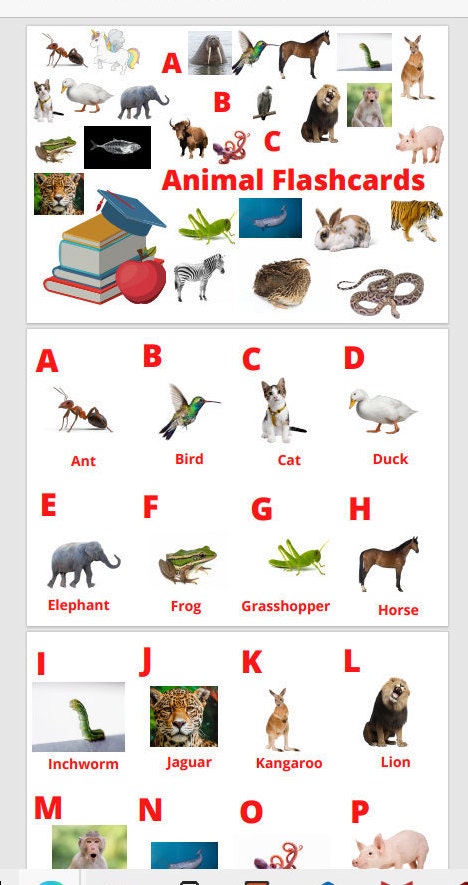 ABC Animal Flashcards - Etsy