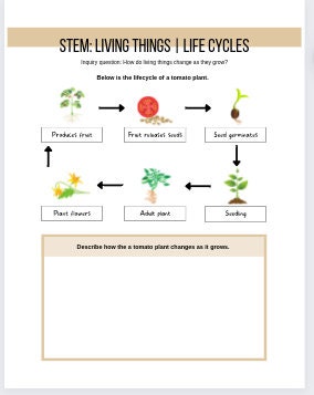 STEM Stages of Life Cycles - Etsy