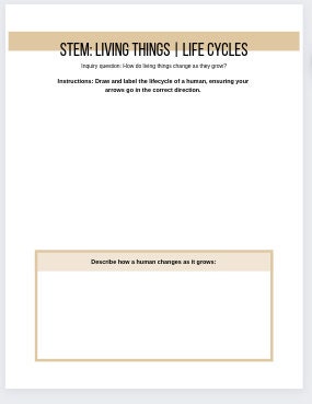 STEM Stages of Life Cycles - Etsy