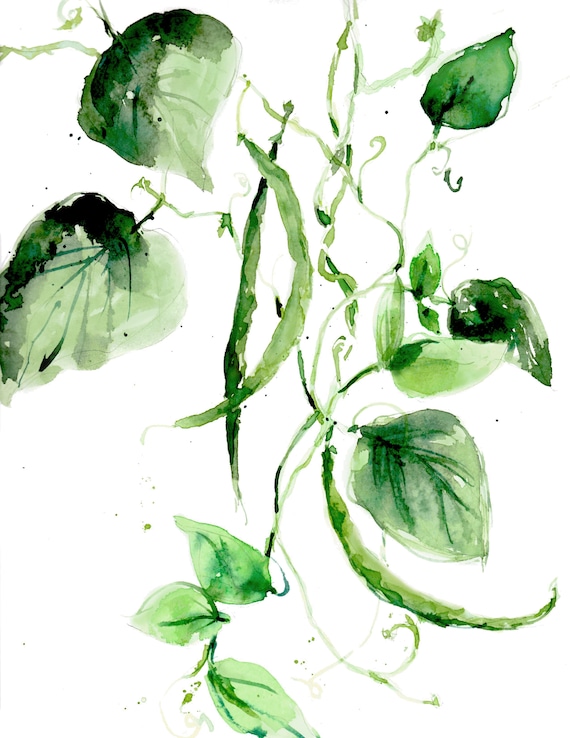 Green bean watercolor art watercolor print kitchen art | Etsy