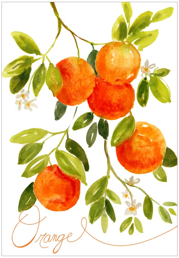 Orange watercolor painting original watercolor art citrus | Etsy
