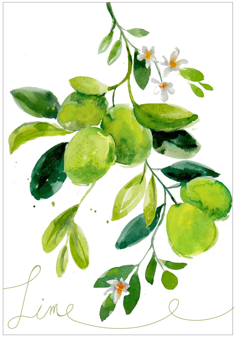 Lime branch watercolor artwork lime original painting citrus | Etsy