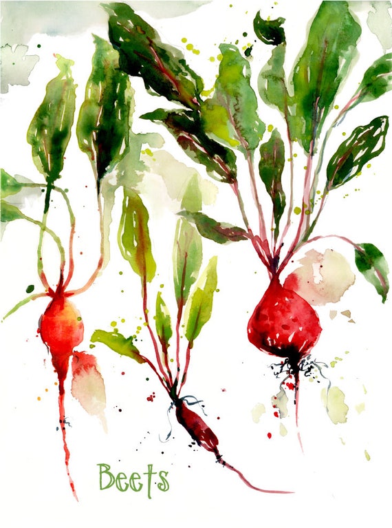 Beets Original Watercolor Artwork Hand Painted Art Food | Etsy