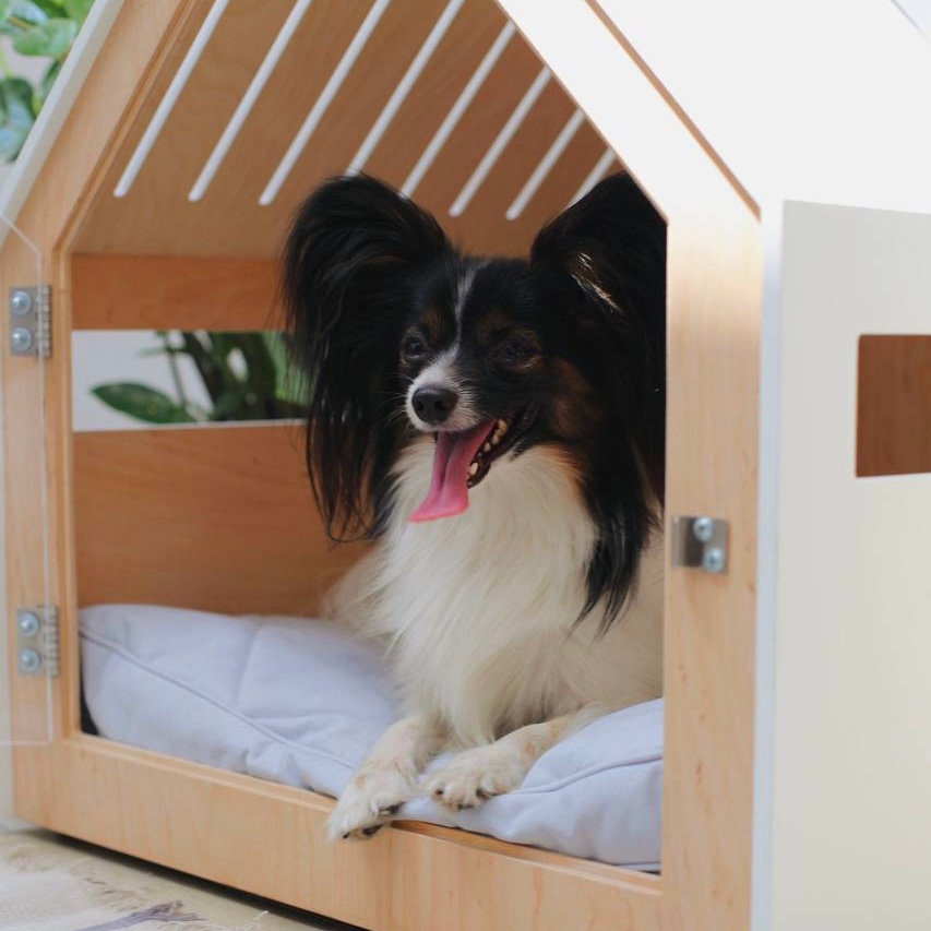 Modern Dog and Cat House With Acrylic Door Petso. Dog Bed Cat - Etsy