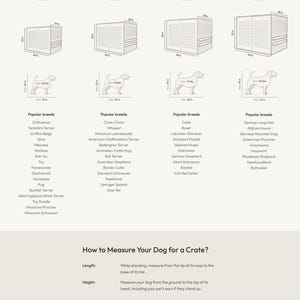 Fully Transparent Modern Dog Crate With Sliding Door With a Stopper ...