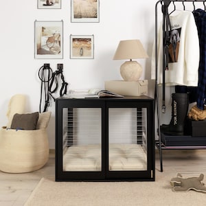 Fully Transparent Modern Dog Crate With Sliding Door With a Stopper ...