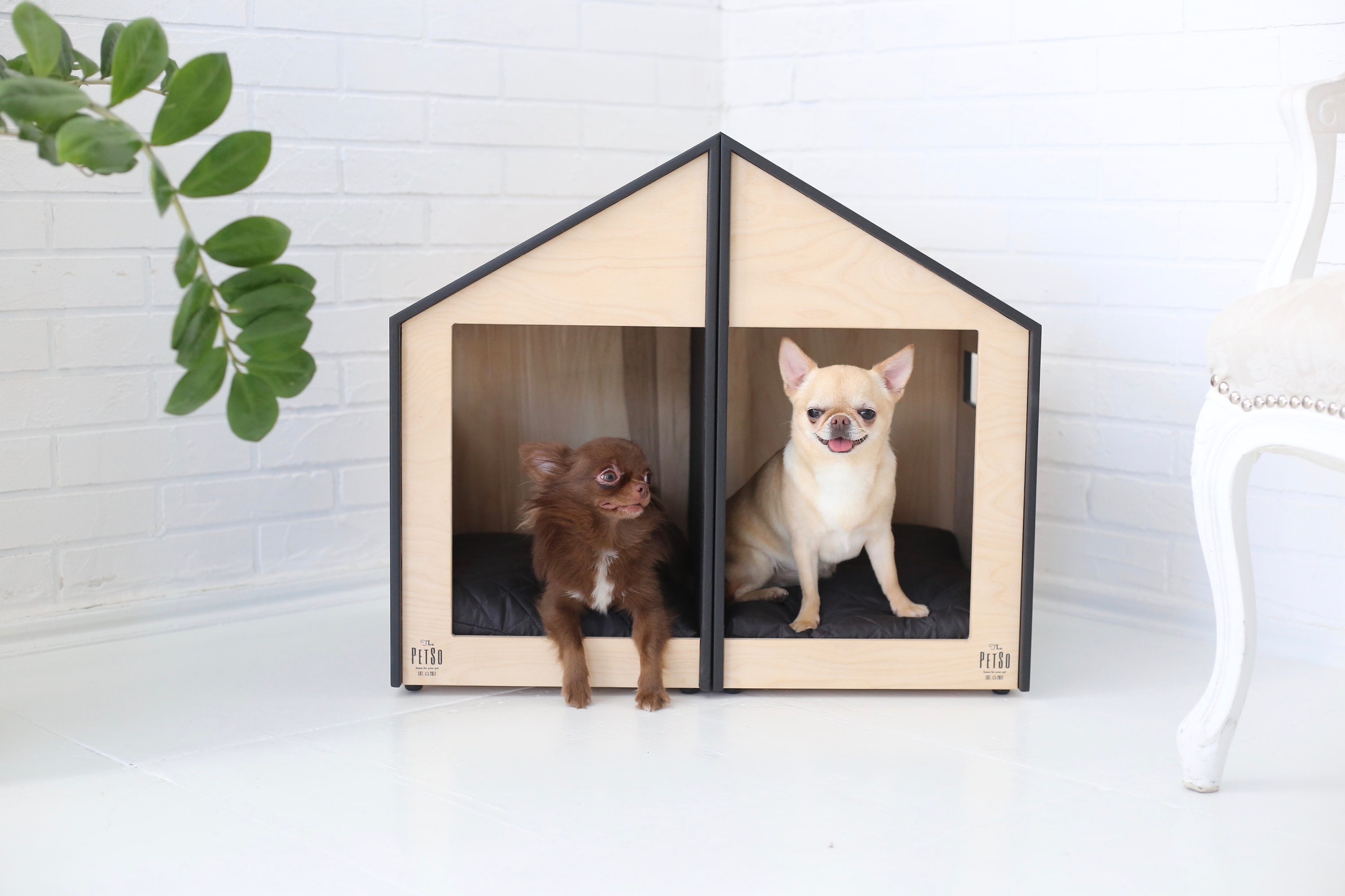 Modern House for Two Dogs or Cats Smart Twins. Dog Kennel, Dog Crate ...