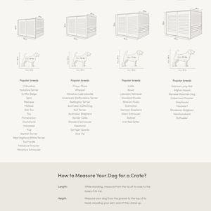 Fully Transparent Modern Dog Crate With Sliding Door With a Stopper ...
