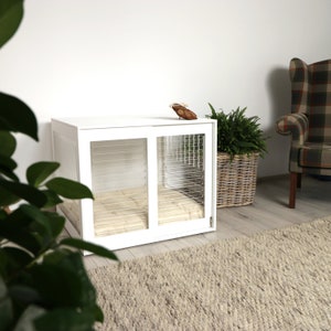 Fully Transparent Modern Dog Crate With Sliding Door With a Stopper ...