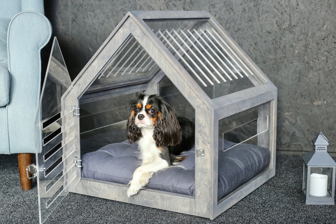 Fully Transparent Modern Dog and Cat House With Acrylic Sides Petso ...